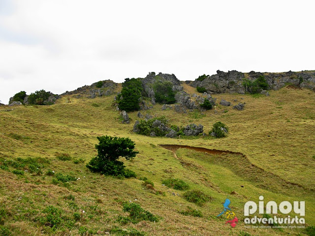 If You Think You've Already Seen Batanes, Think Again! Here Are 50 ...