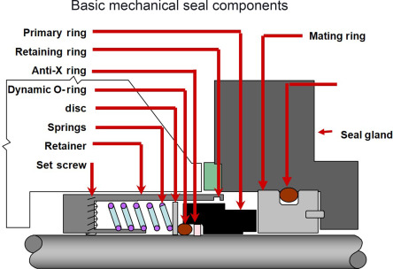 An Introduction To Seals types ,Selection And Applications