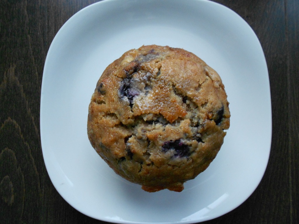 Snacking Squirrel: Banana Blueberry Chocolate Chip Muffin