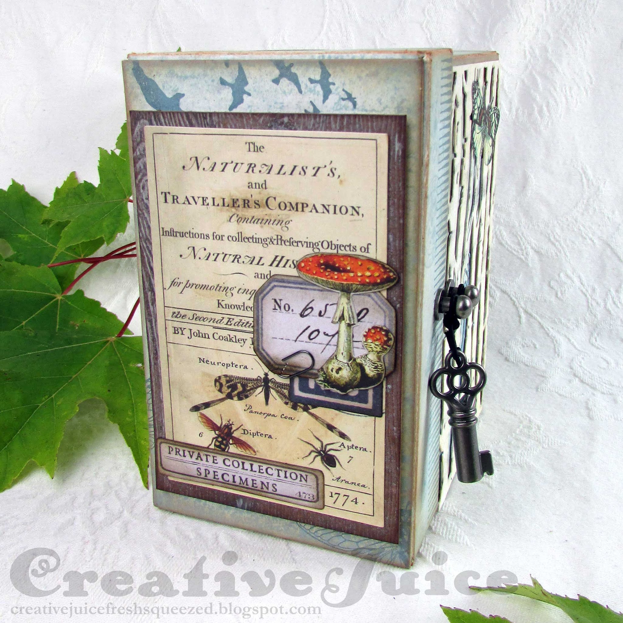 Creative Juice: It's Nature Journals for September!