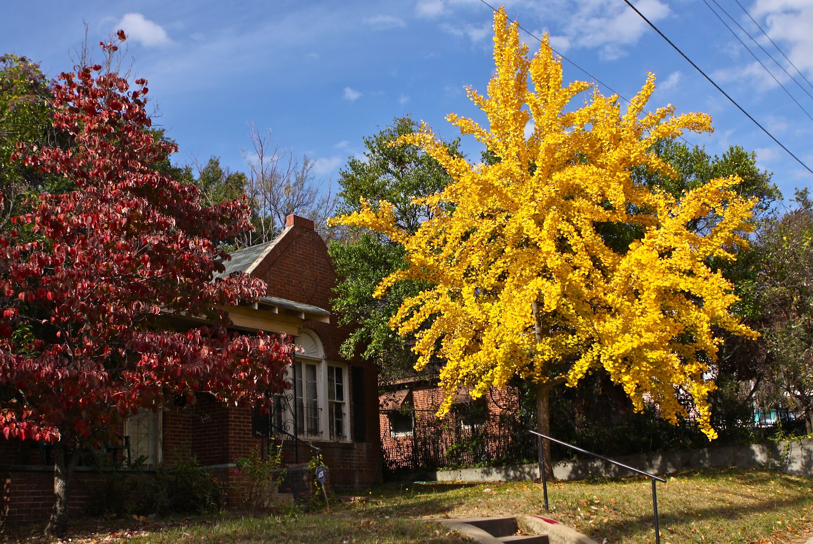 Sweet Southern Days: Historic Places in Macon, Georgia