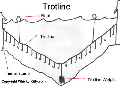 A Country Boy in Paradise: 06/26/16