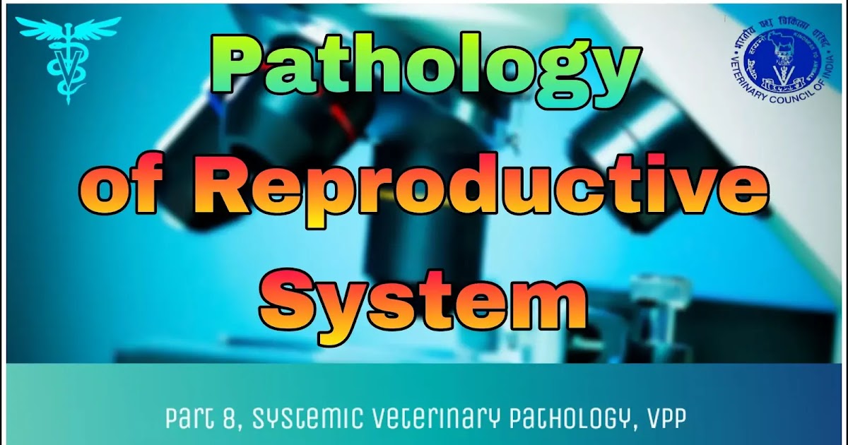 Pathology of Reproductive System.