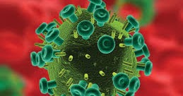 Contoh Virus DNA dan Virus RNA ( Dibedakan Berdasarkan Jenis Asam ...