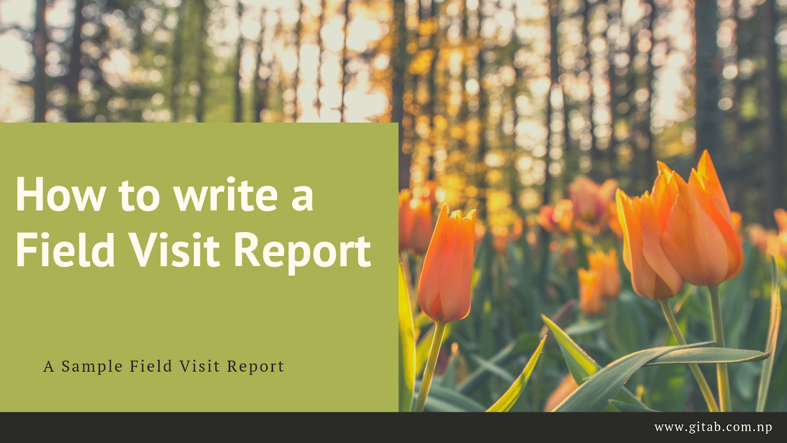 Microbiology Field Visit Report - GITAB » Online Loksewa Test