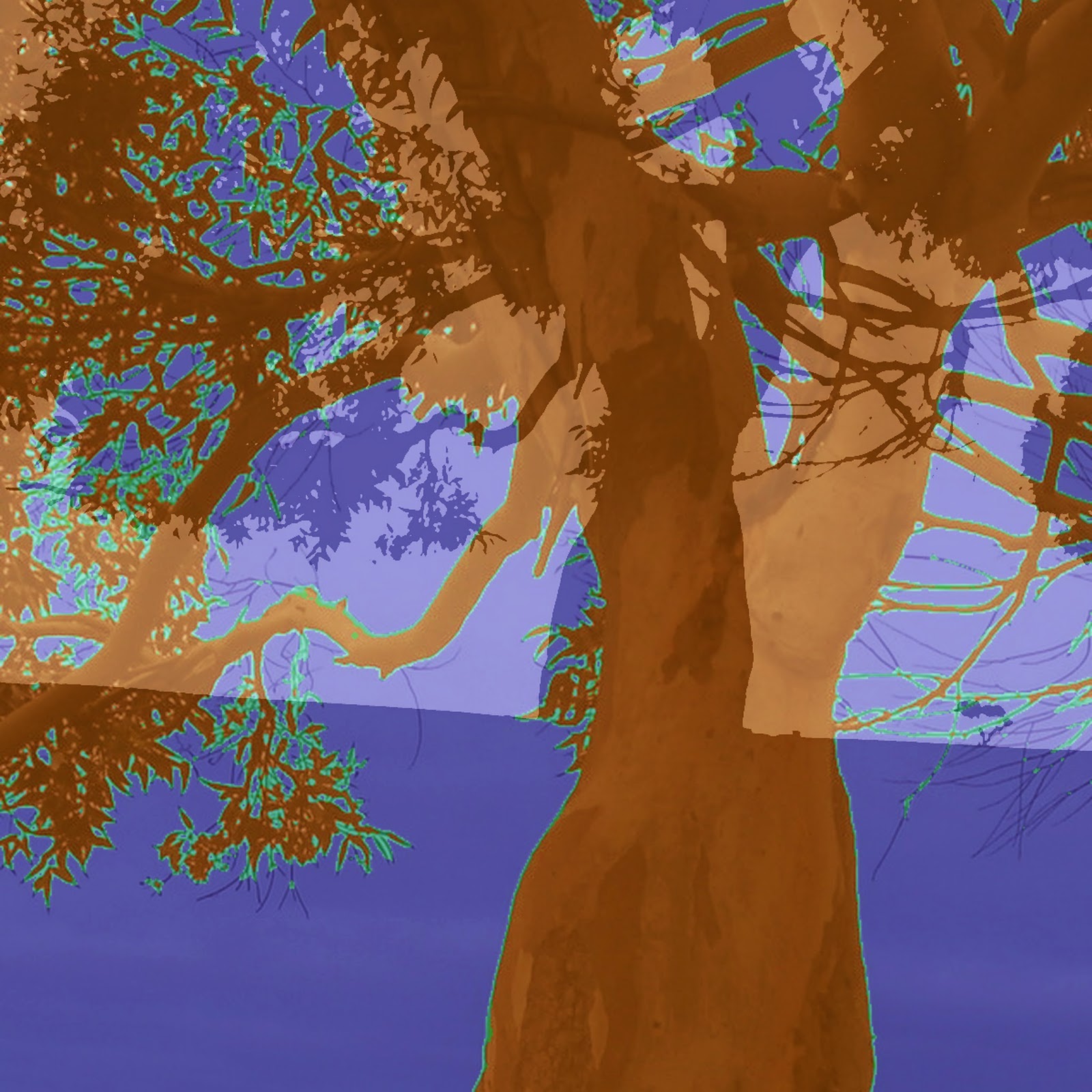 Geelong Visual Diary: abstract of a tree