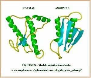 cmc_2012: TEMA 5: PRIONES