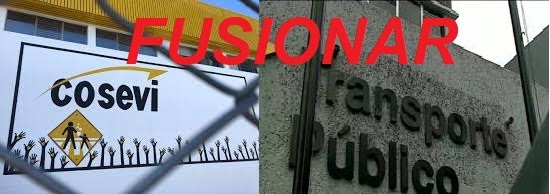 Pilar Garrido anuncio fusión de Cosevi y CTP con el MOPT