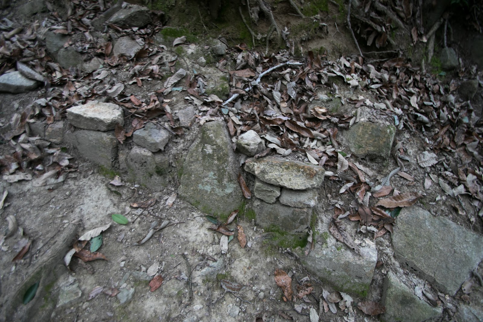 Niitakayama Castle -Intellectual pillar of Mouri clan (2)- | Japan ...