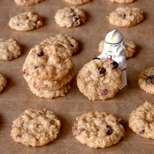Food Pusher: Mini Oatmeal Cookies