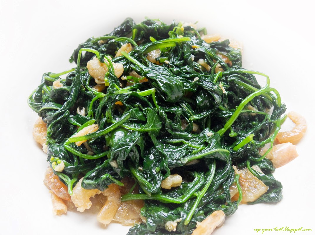 Solanum nodiflorum - The White Nightshade or Sayur Meranti - Half a ...