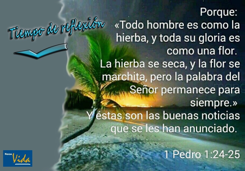 neco-vida-tiempo-1-pedro-1-22-25
