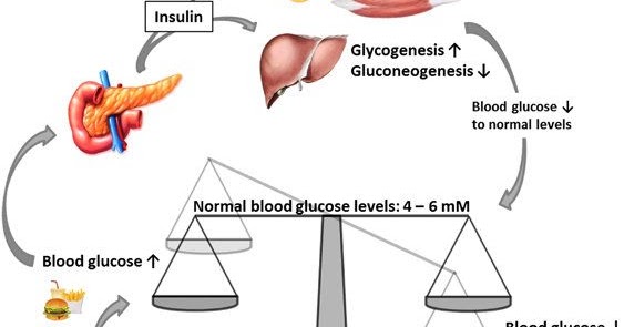how to control blood sugar through food
