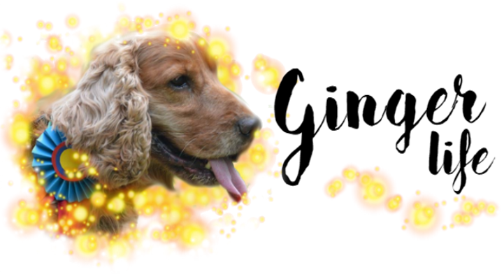 Ginger life