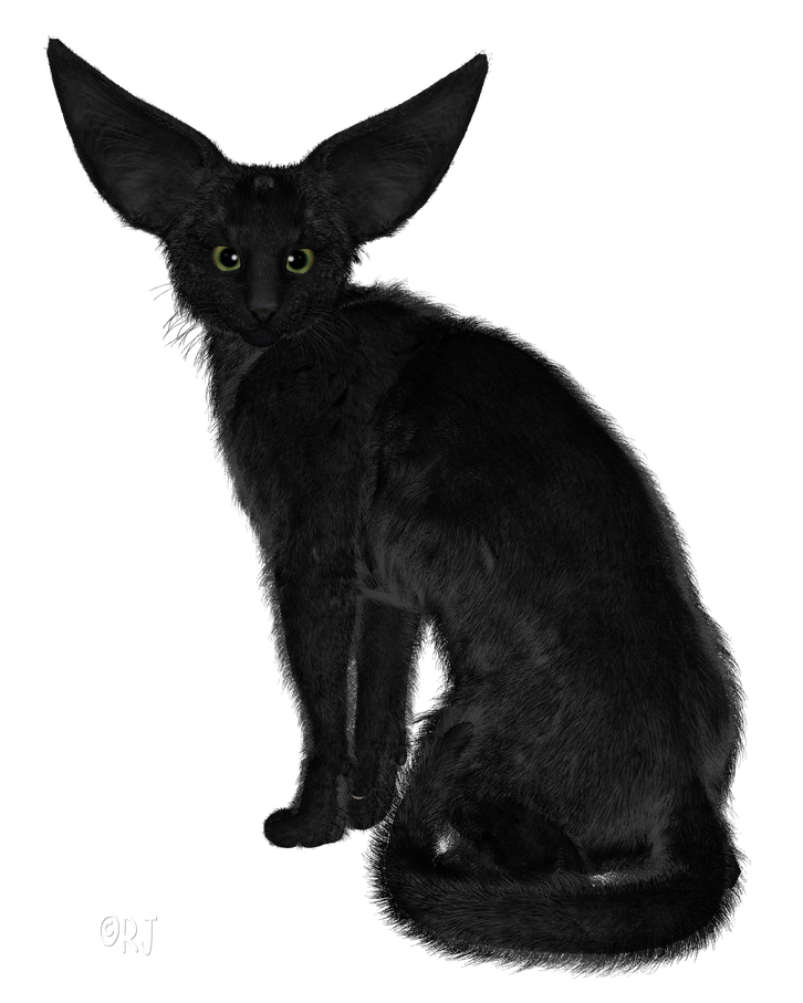 Delightfully Demented DazZariffic: Catula