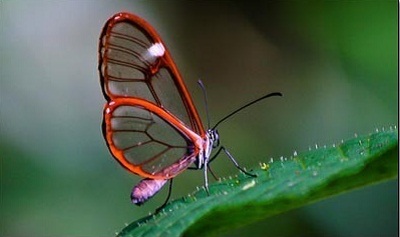 2011-08-14 | Enter your blog name here