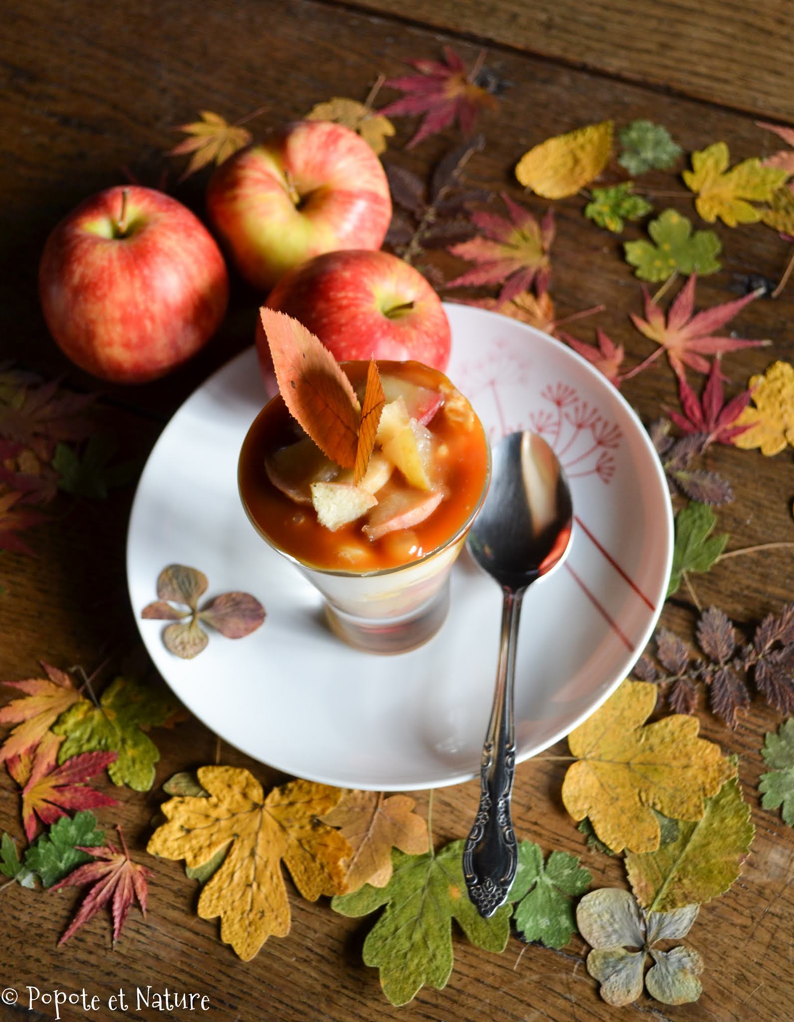 Popote et Nature: Des verrines gourmandes et parfumées aux pommes