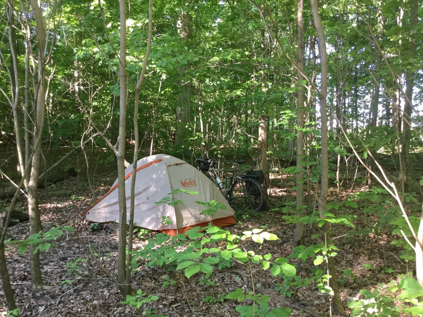 George the Cyclist: Ripley, Ohio