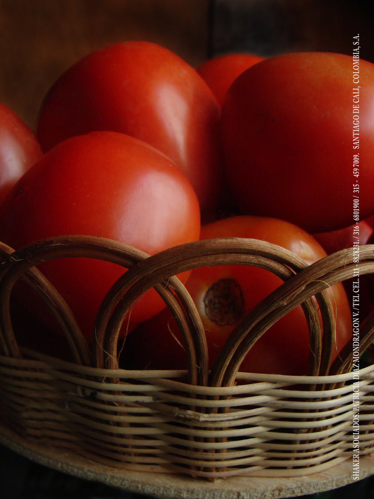 SHAKER ASOCIADOS. Creativos Publicitando & Creacion de nuevos negocios