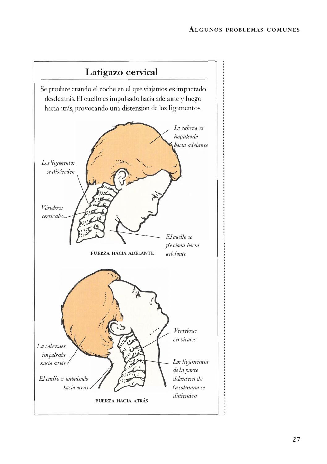 MyStretchingVital: ¿Qué es la Hiperflexibilidad? Hugo Cascia FUENTE ...