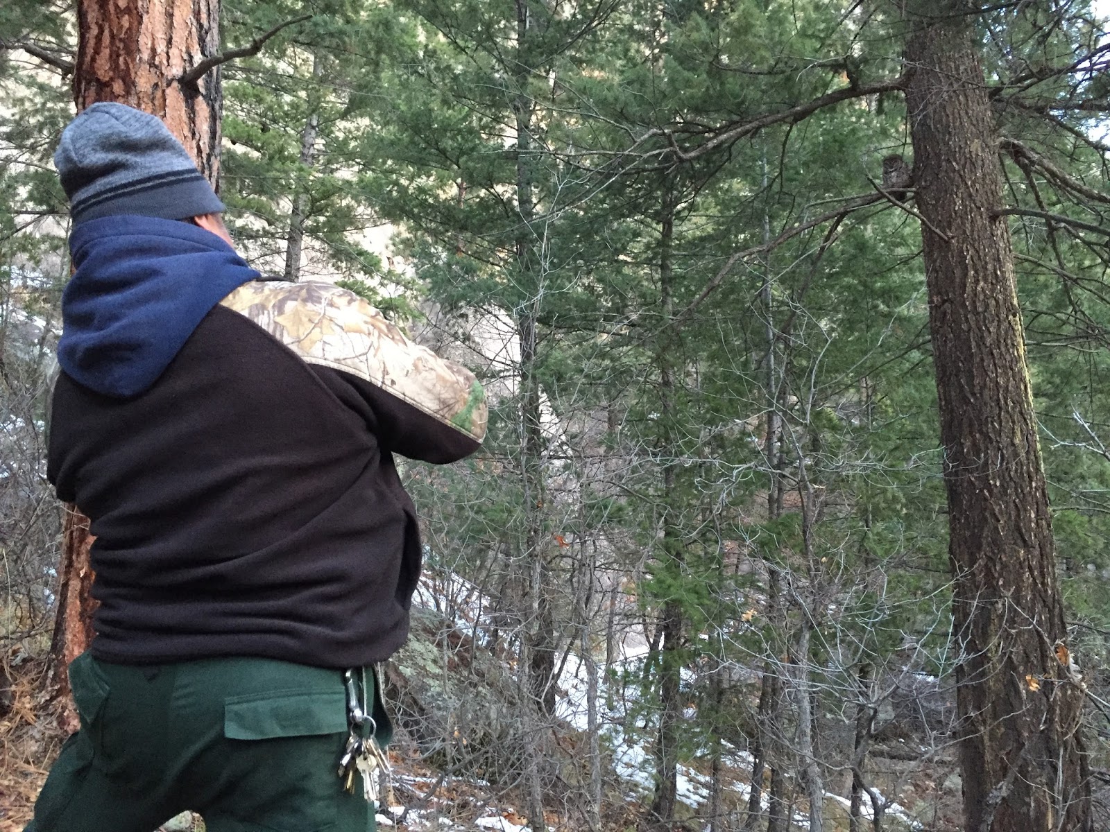 Nemophilosophy: Mousing An Owl