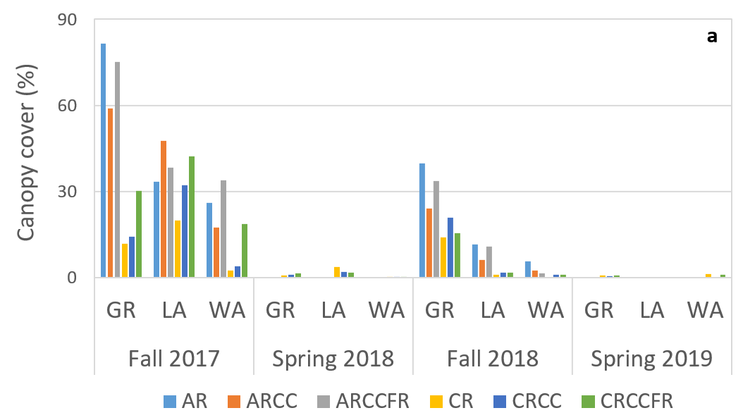 Interseeding cover crops in corn