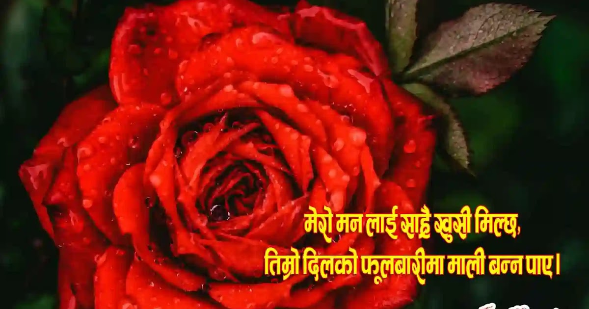 New Propose love Shayari in Nepali for girlfriend