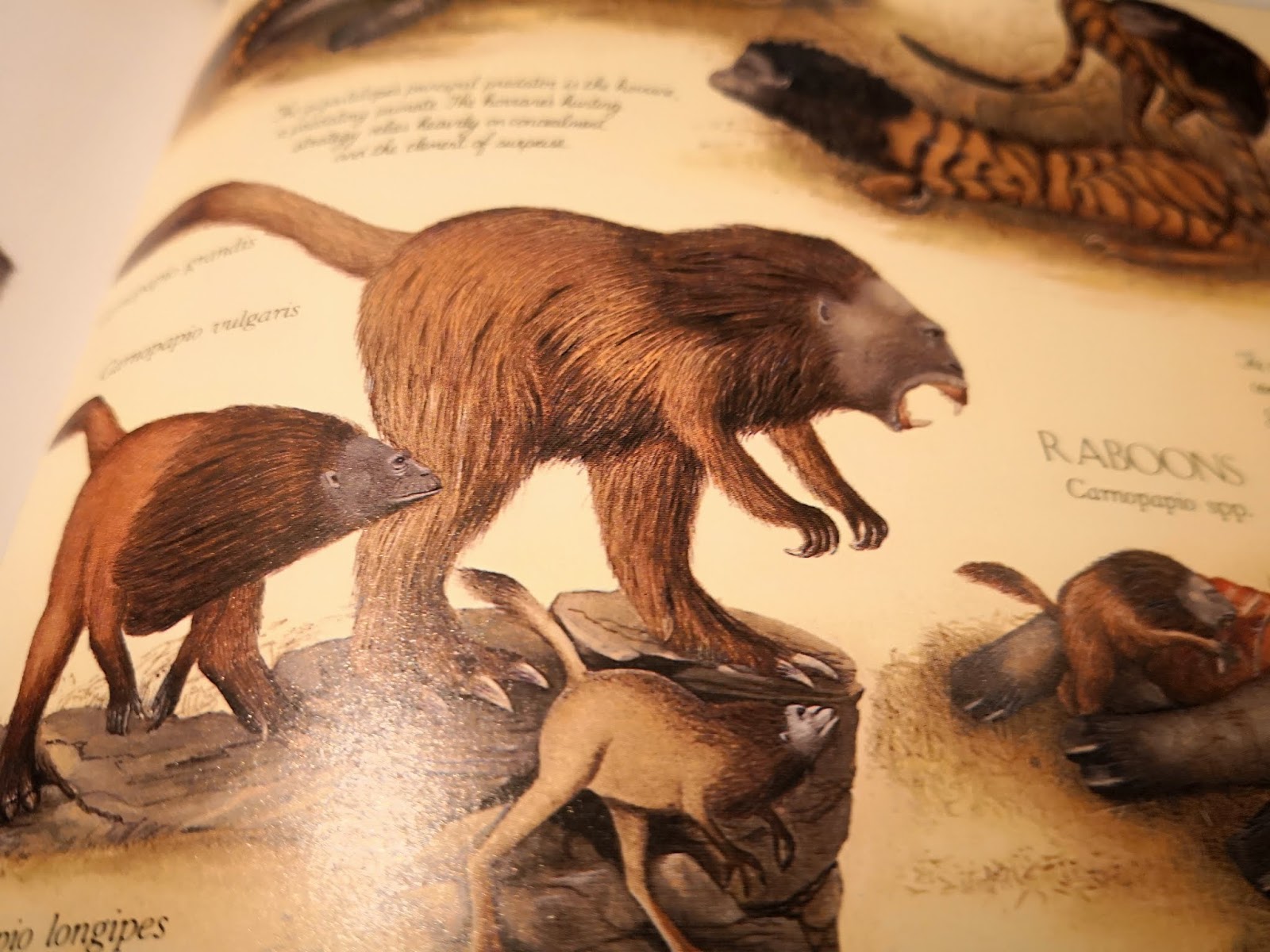 Evans is a place on Earth: Fifty million years from now:An evening of ...