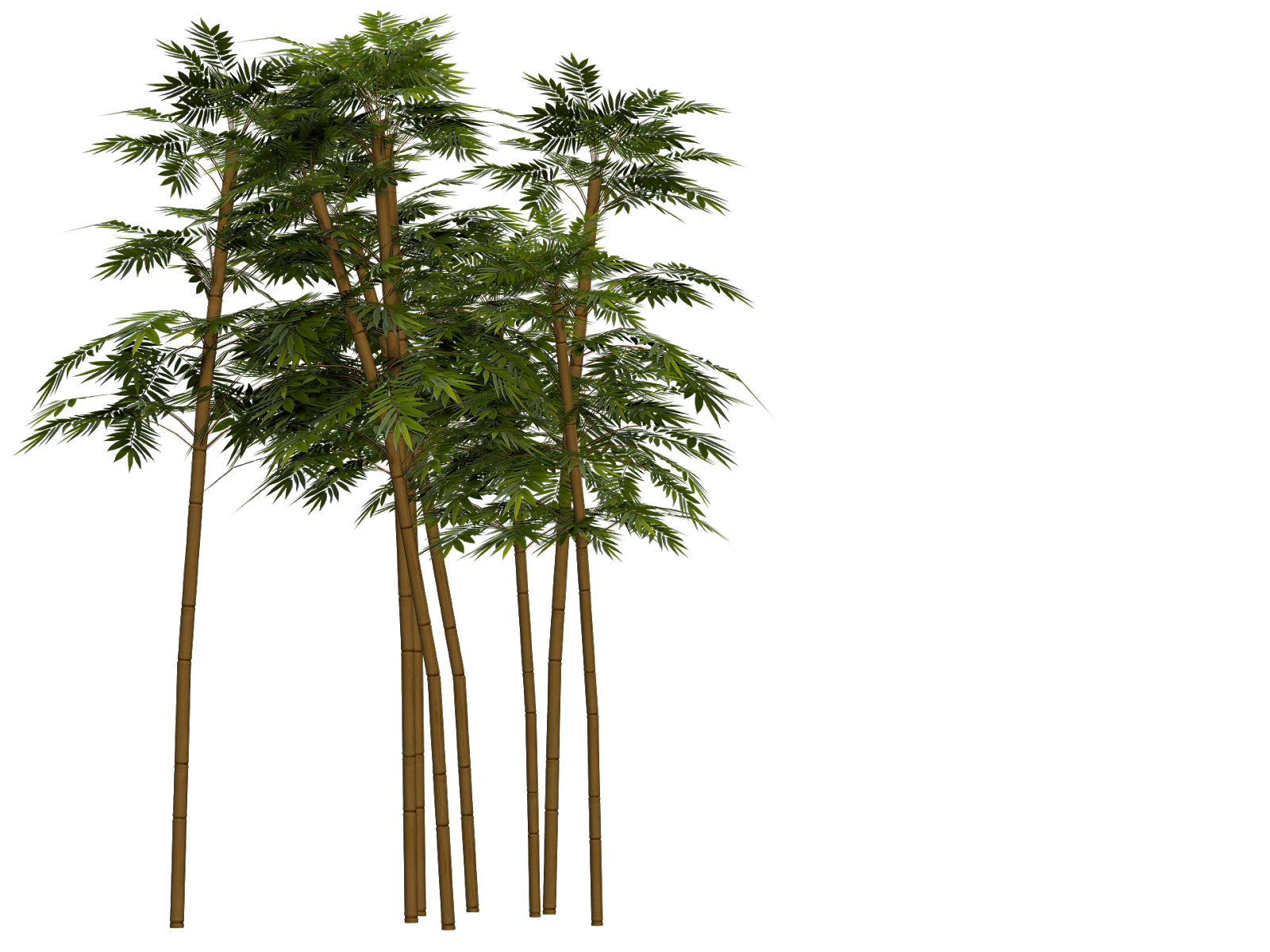 Bem Fácil PNG : Ddiversas coisas png