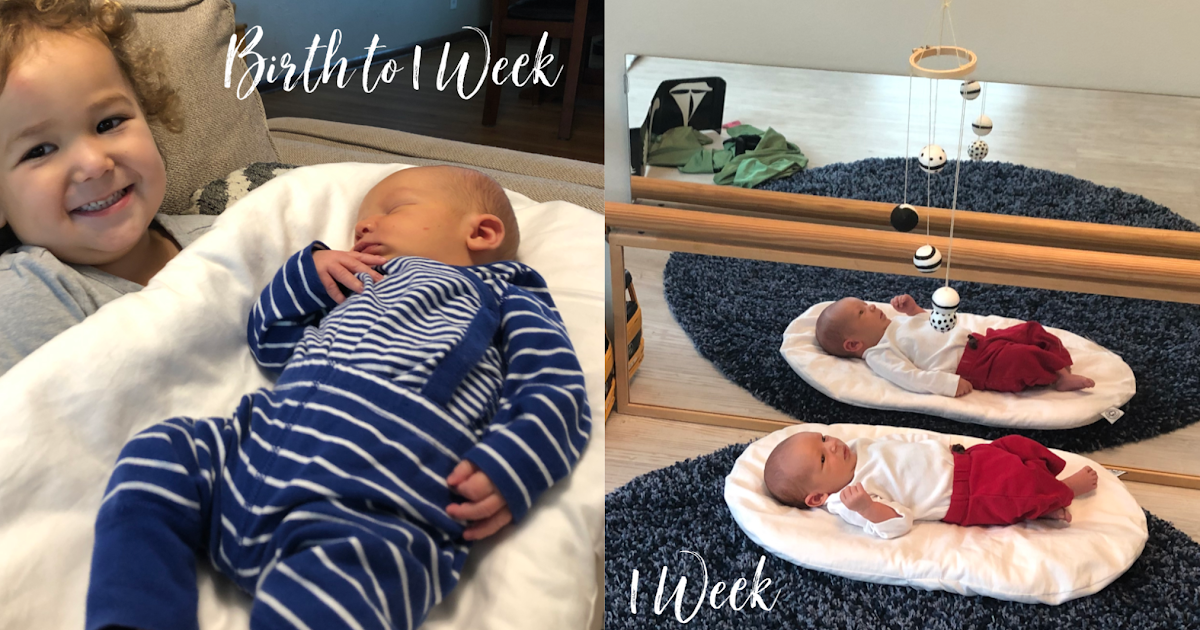 Week By Week Activities for Newborns - Montessori Baby Week 12 | The ...