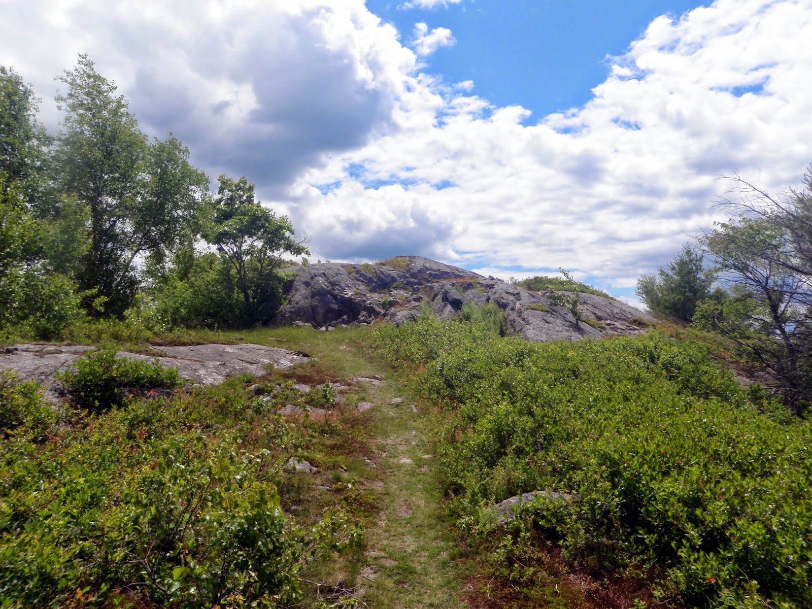 Trekking For A Cure. Giving MS The Boot!!: Monroe Hill (Fox State ...