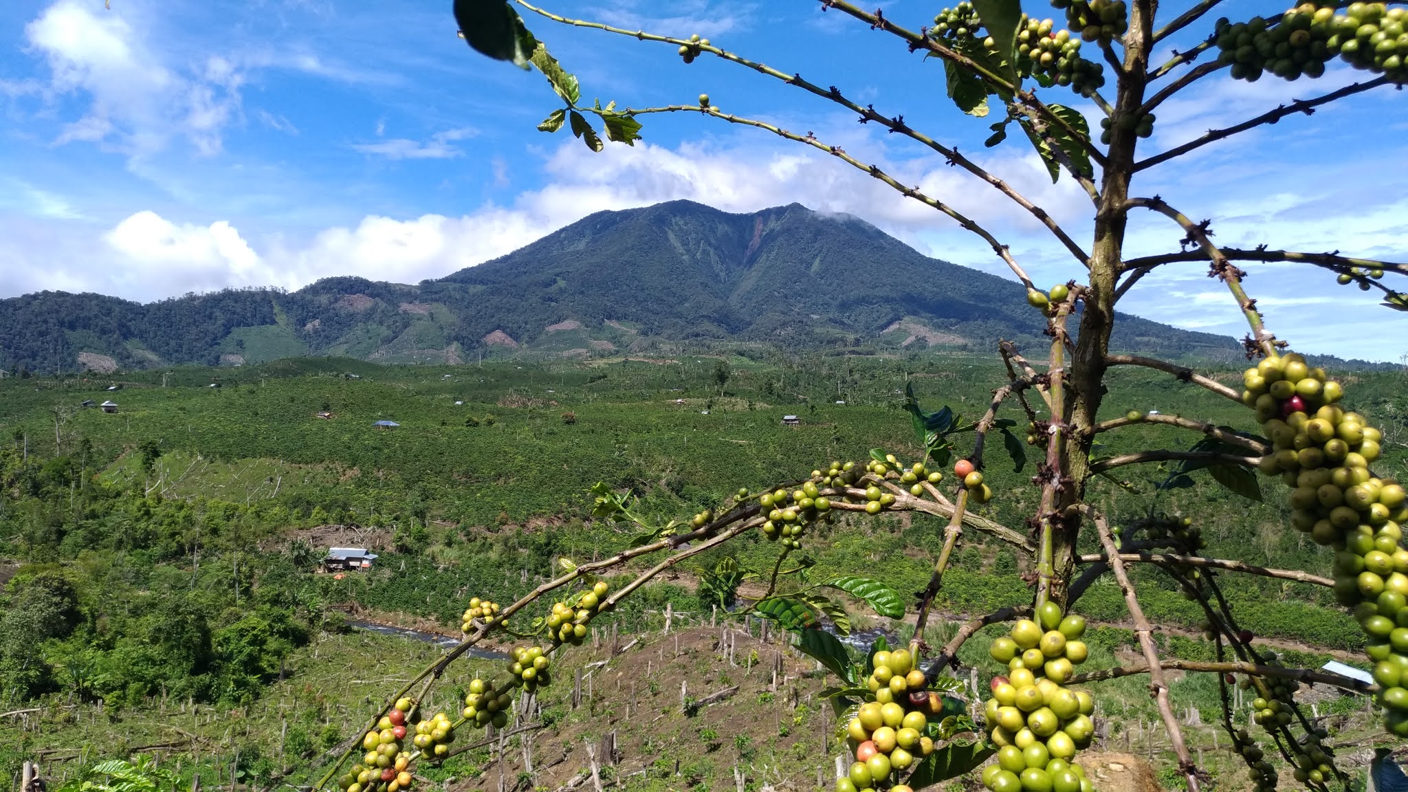 Serunai: WISATA MERANGIN TERBARU, LENGKAP DAN AKURAT (GEOPARK MERANGIN)