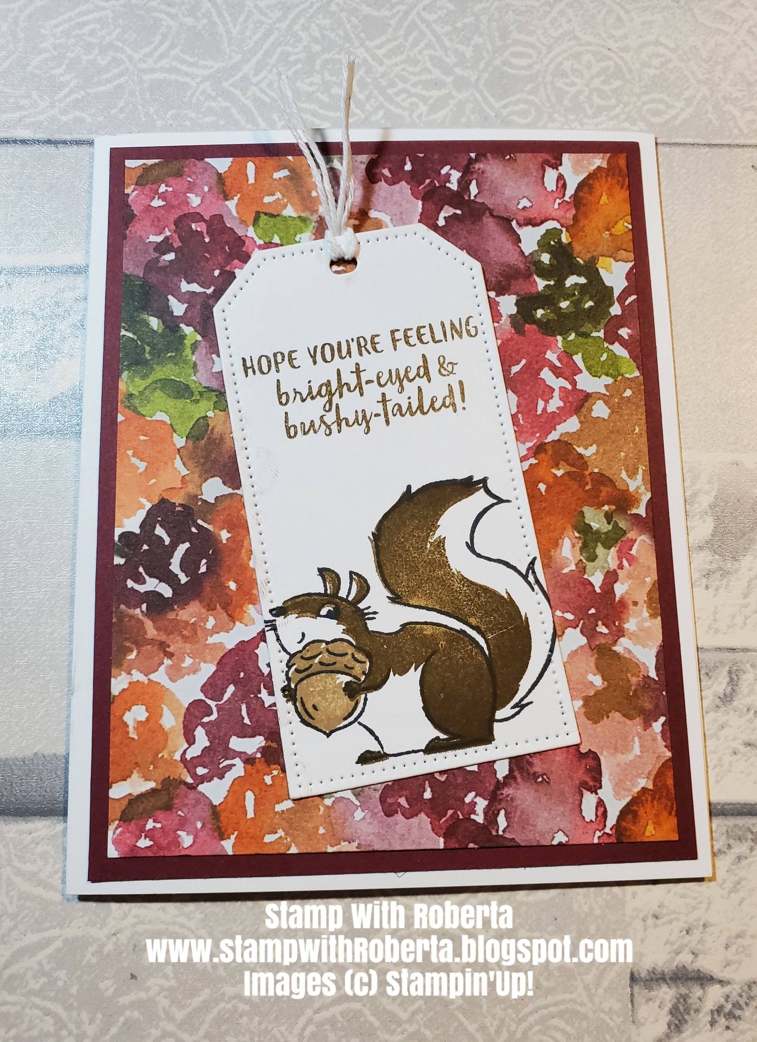 Stamp with Roberta: Make a card, Mail a Card Monday- Nuts about Squirrels.