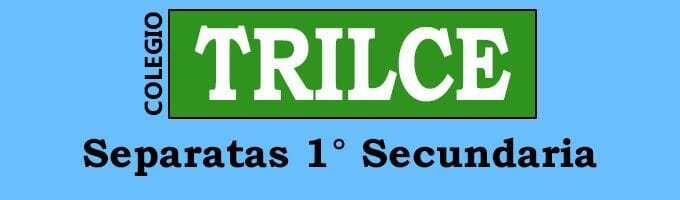 ACADEMIA CIENCIAS: COLEGIO TRILCE - PRIMER AÑO