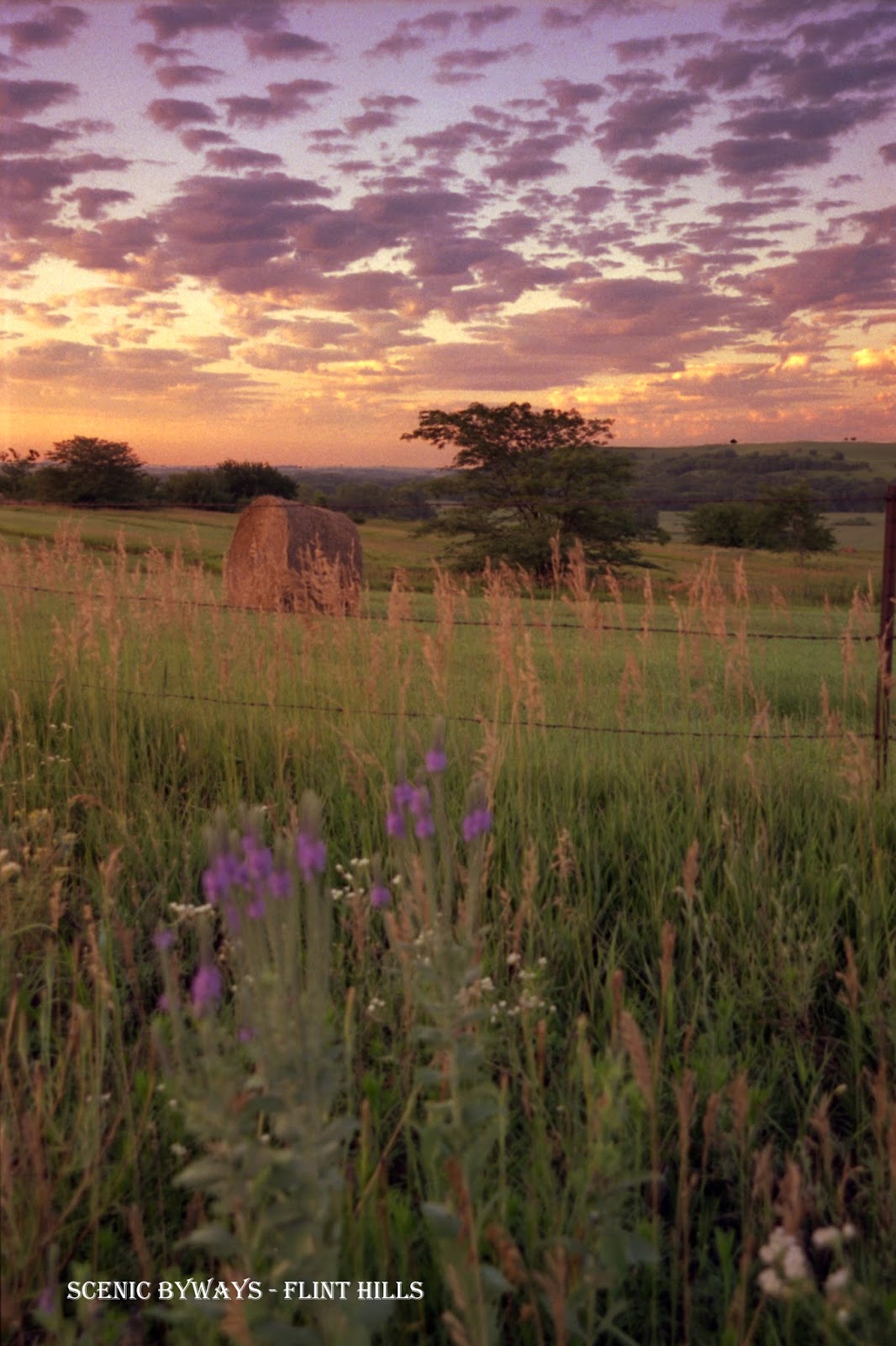 Kansas Transportation: Which part of Kansas has world famous sunsets?
