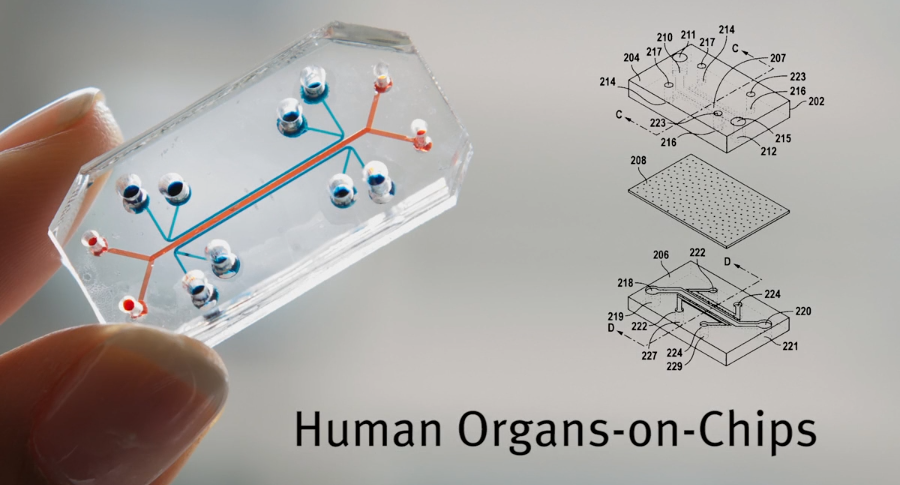 THE99: Lab-On-A-Chip (2)