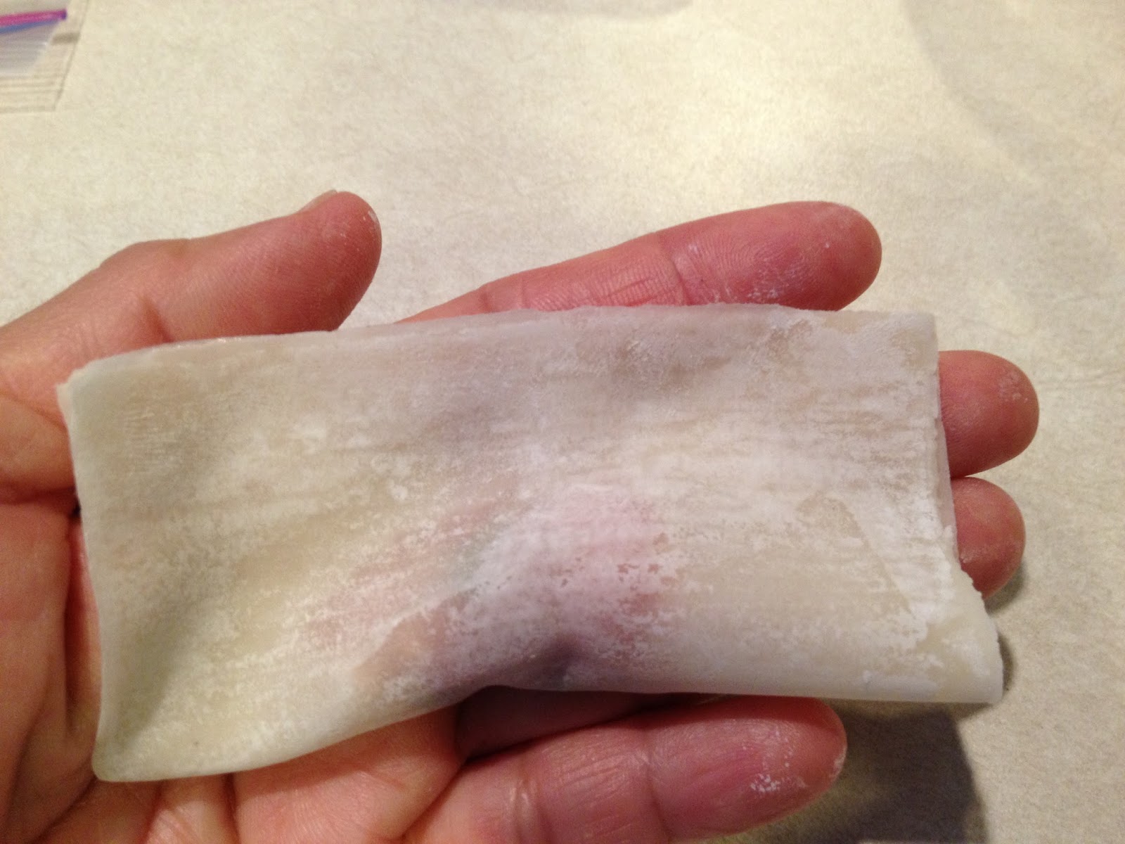 Recipes from Mama Chang's Kitchen: How to Make Wontons