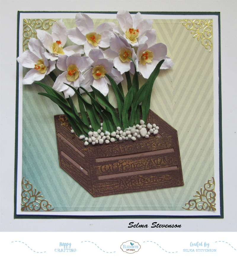 Selma's Stamping Corner and Floral Designs: Paperwhite Flowers