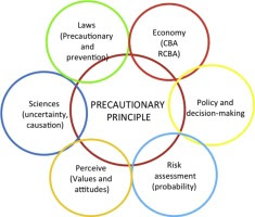 Precautionary Principle Example