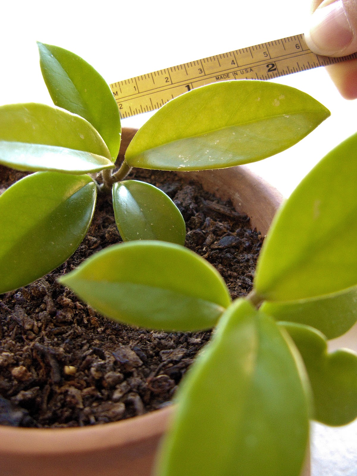 Change Is Hard... For All