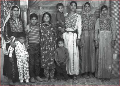 Humerus Revelations of the Naked Ape: Languages at Risk: The Domari ...