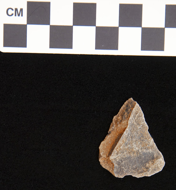 Clive Finlayson's Human Evolution Blog: Neanderthal technology