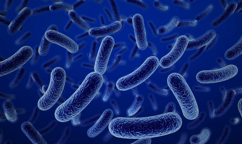 DOMINIOS DE CARL WOESE: DOMINIO BACTERIA