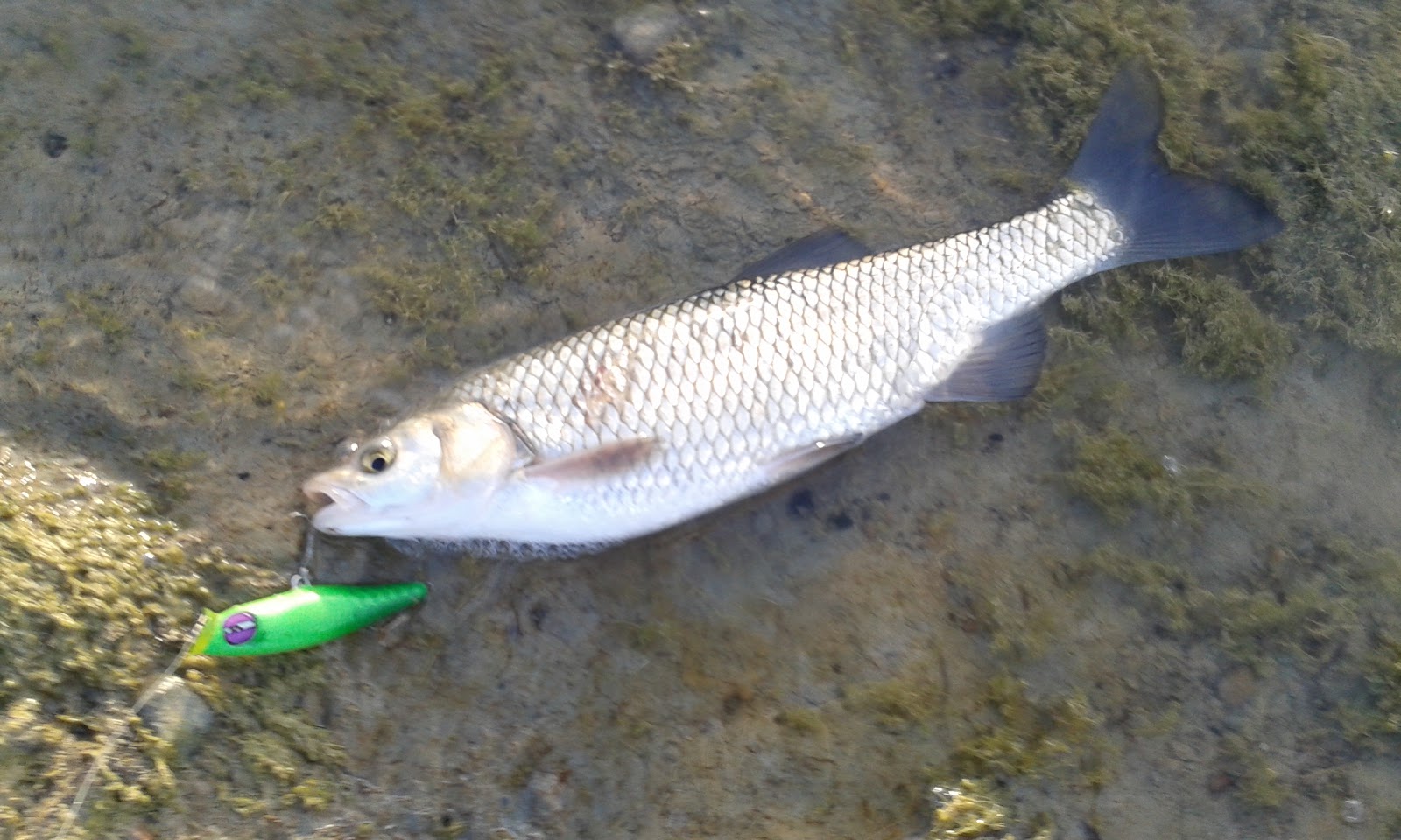 Eroi dello Spinning: Spinning al CAVEDANO: la tecnica avanzata del popping!