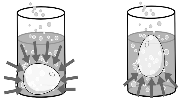 Can You Make An Egg Float? Density Science Experiments