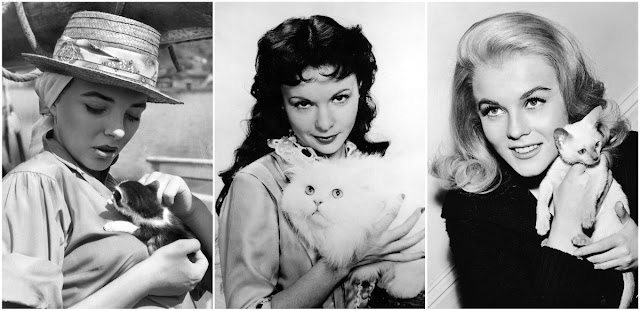 32 Fabulous Vintage Portraits of Classic Actresses Posing With Their ...