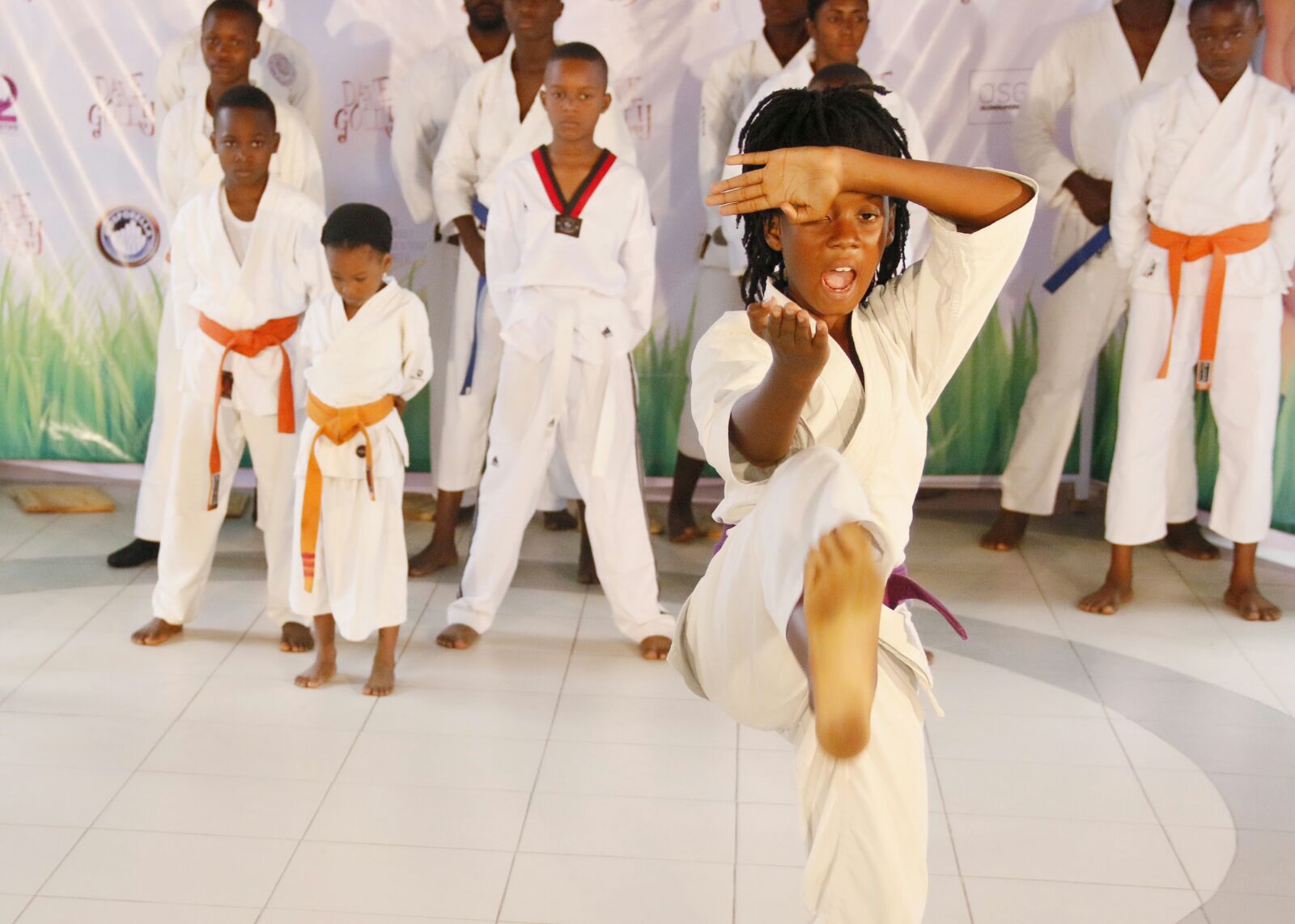 THE PREMIER OF NIGERIA'S FIRST STOP-MOTION 3D ANIMATION "DAVE AND GOLLY"