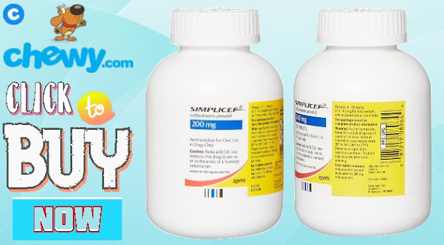 Simplicef For Dog Allergies | Cefpodoxime For Allergies - Antibiotics ...