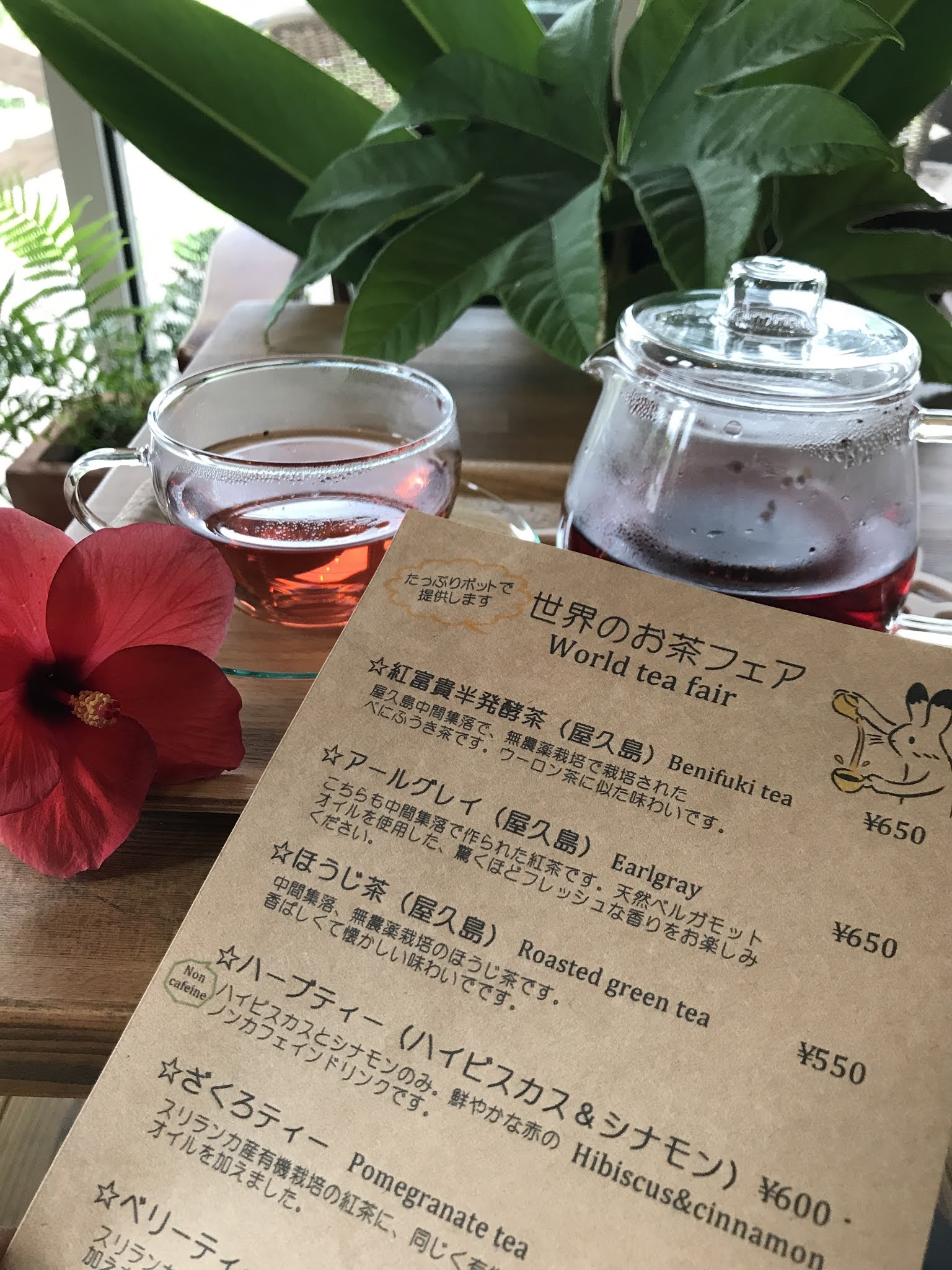 さいはてのカフェ LA PONTO ～屋久島の8時の場所より～: 世界のお茶フェア World tea fair！