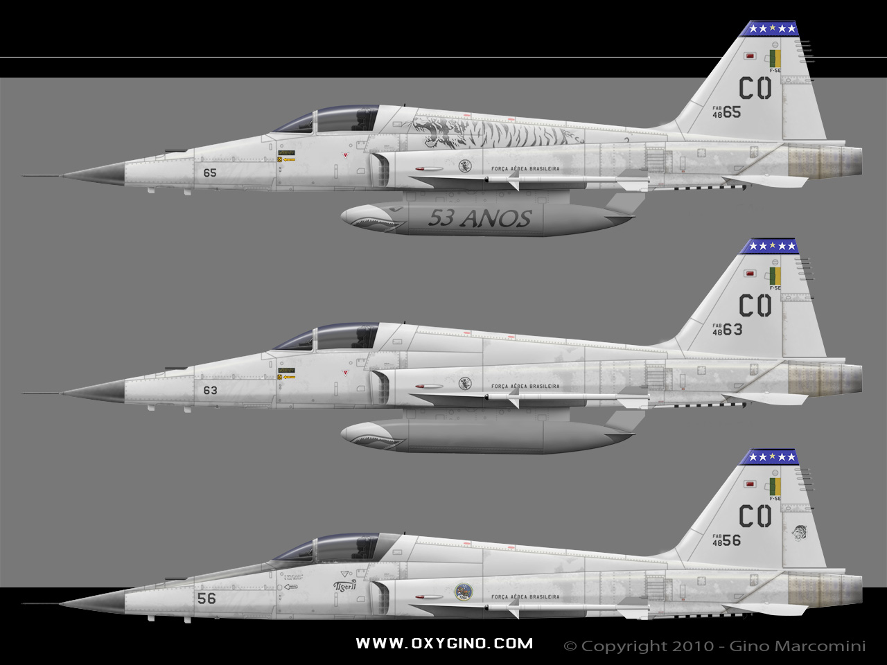 F-5E FAB 4865 (Hobby Boss 1/72) - F-5 Single Type Group Build ...